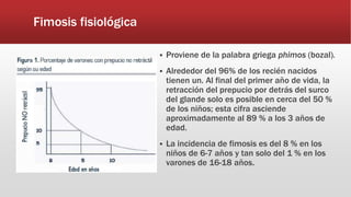 Fimosis en población pediátrica. | PPTX