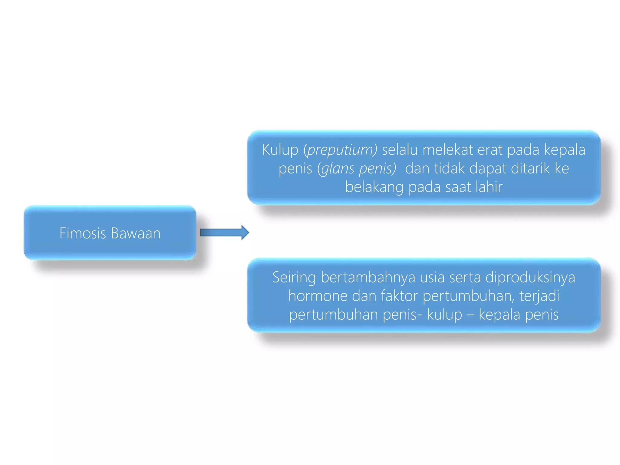 fimosis.pptx