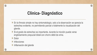 FIMOSIS CRIPTORQUIDEA............................pptx