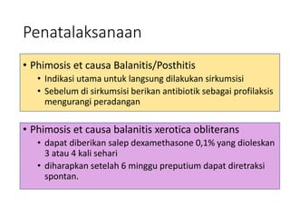 Fimosis dan Parafimosis | PDF