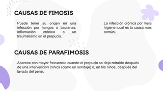 FIMOSIS, PARAFIMOSIS, CANCER RENAL.pptx