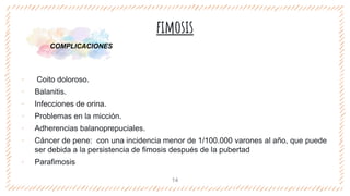 FIMOSIS, PARAFIMOSIS, PRIAPISMO. KARINA.pptx