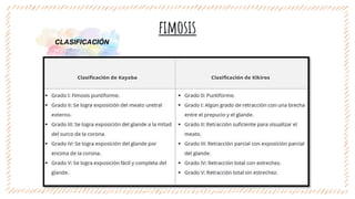 FIMOSIS, PARAFIMOSIS, PRIAPISMO. KARINA.pptx