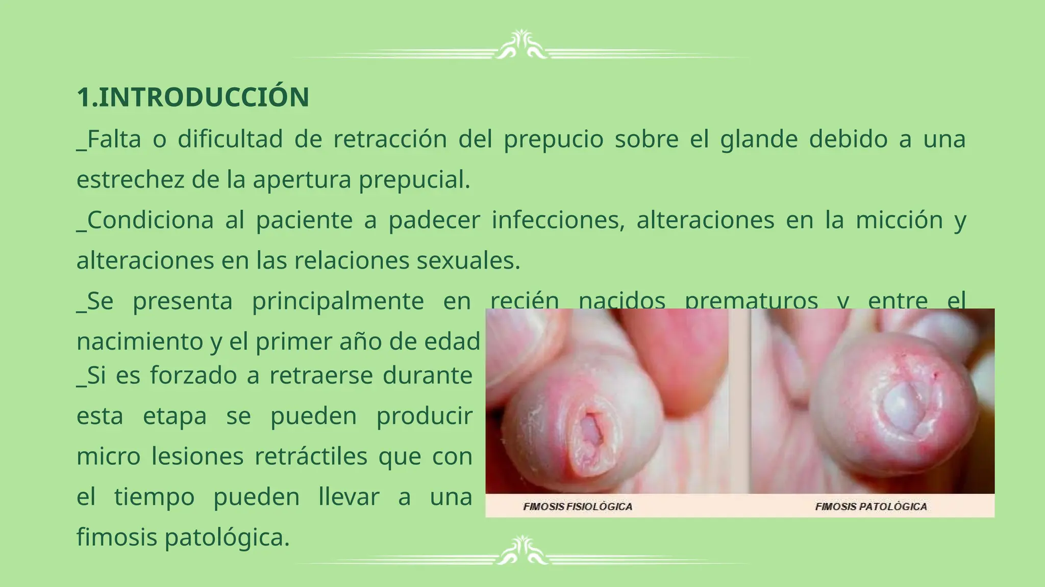 Fimosis, trabajo de urologia de la universidad | PPTX