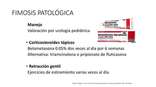 fimosis y nplp.pptx