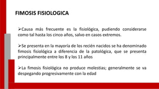 PATOLOGIAS UROLOGICAS: FIMOSIS Y PARAFIMOS.pdf