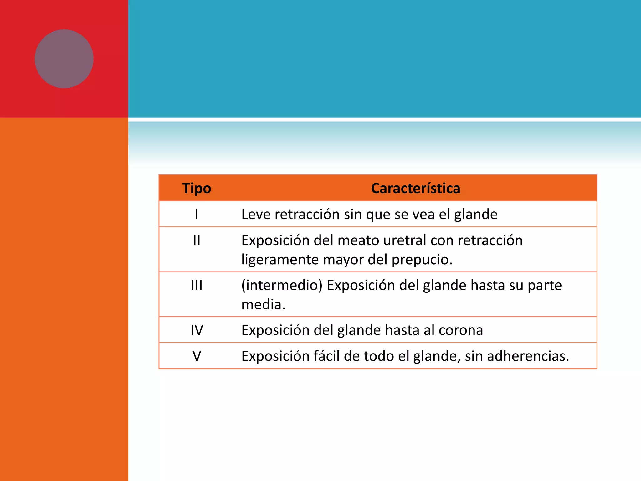 Fimosis y parafimosis | PPTX