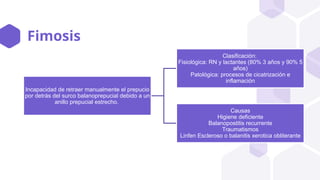 Fimosis y parafimosis cirugia pediatrica | PPTX