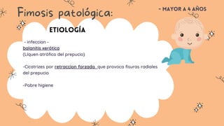 fimosis y parafimosis meily.pdf