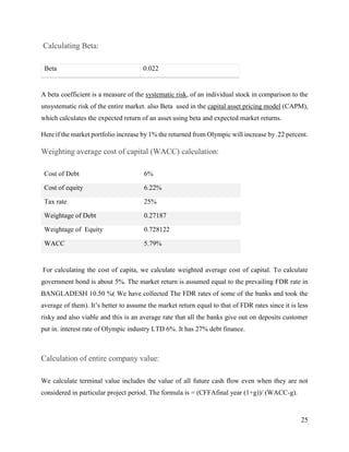 FIN_410_final_REport.pdf.pdf