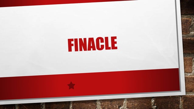 Finacle Software.pptx