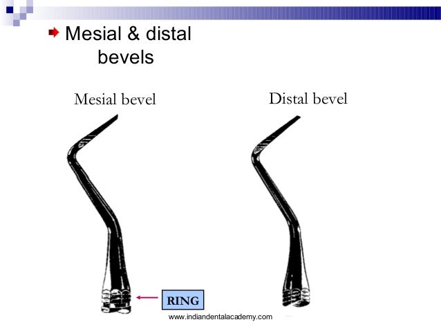 Fina hand instruments / oral surgery courses
