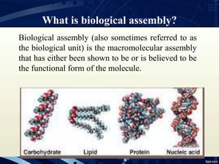 Natural Biological assembly at nanoscale slides | PPTX