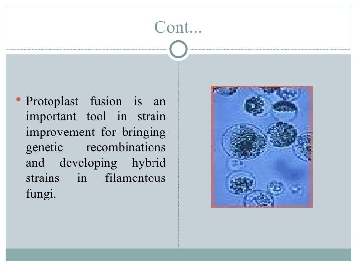 protoplast unxplored aspects