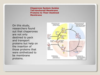 molecular buzz! | PPT