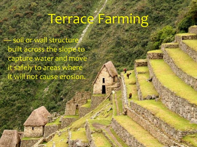 Soil & Water Conservation | PPTX | Agriculture | Industries