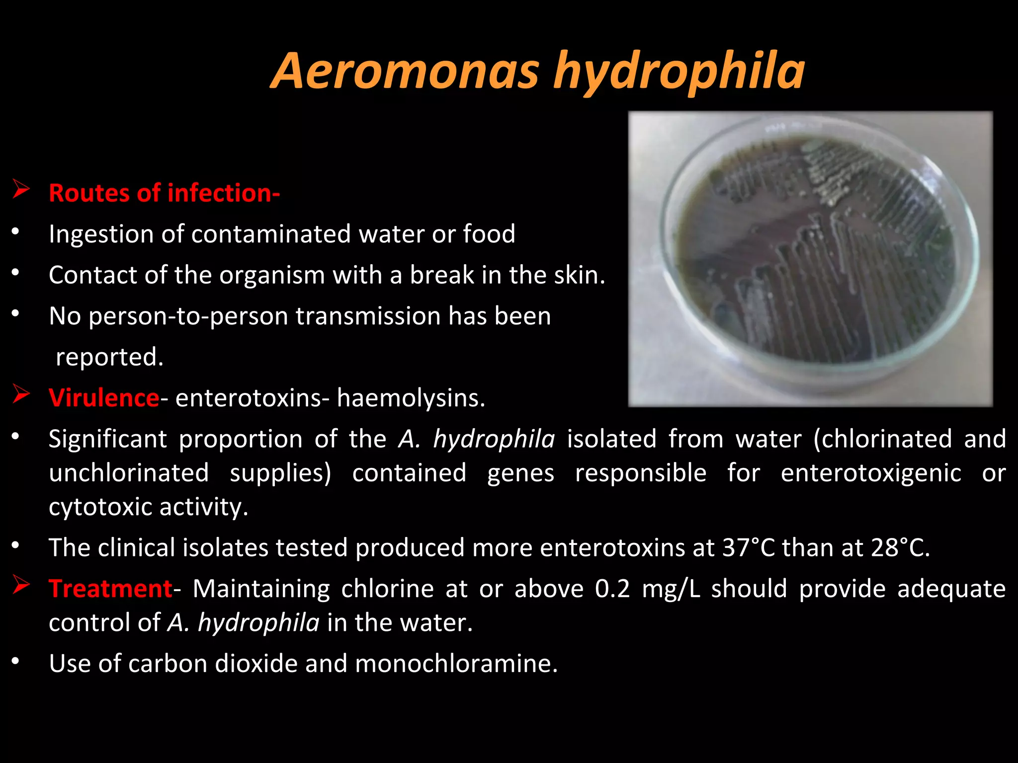 Water borne diseases, prevention and guidelines for safe drinking water ...