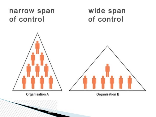 organising - principles of management
