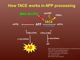 JC Fall 2009-Role of TNFalpha-Converting Enzyme (TACE) Inhibition on ...