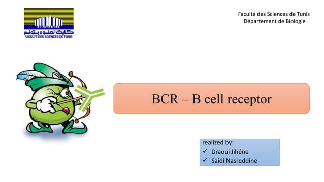 BCR | PPTX | Endocrine and Metabolic Diseases | Diseases and Conditions