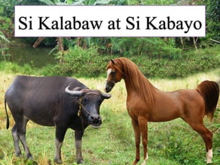 si kabayo at si kalabaw-try lang | PPTX