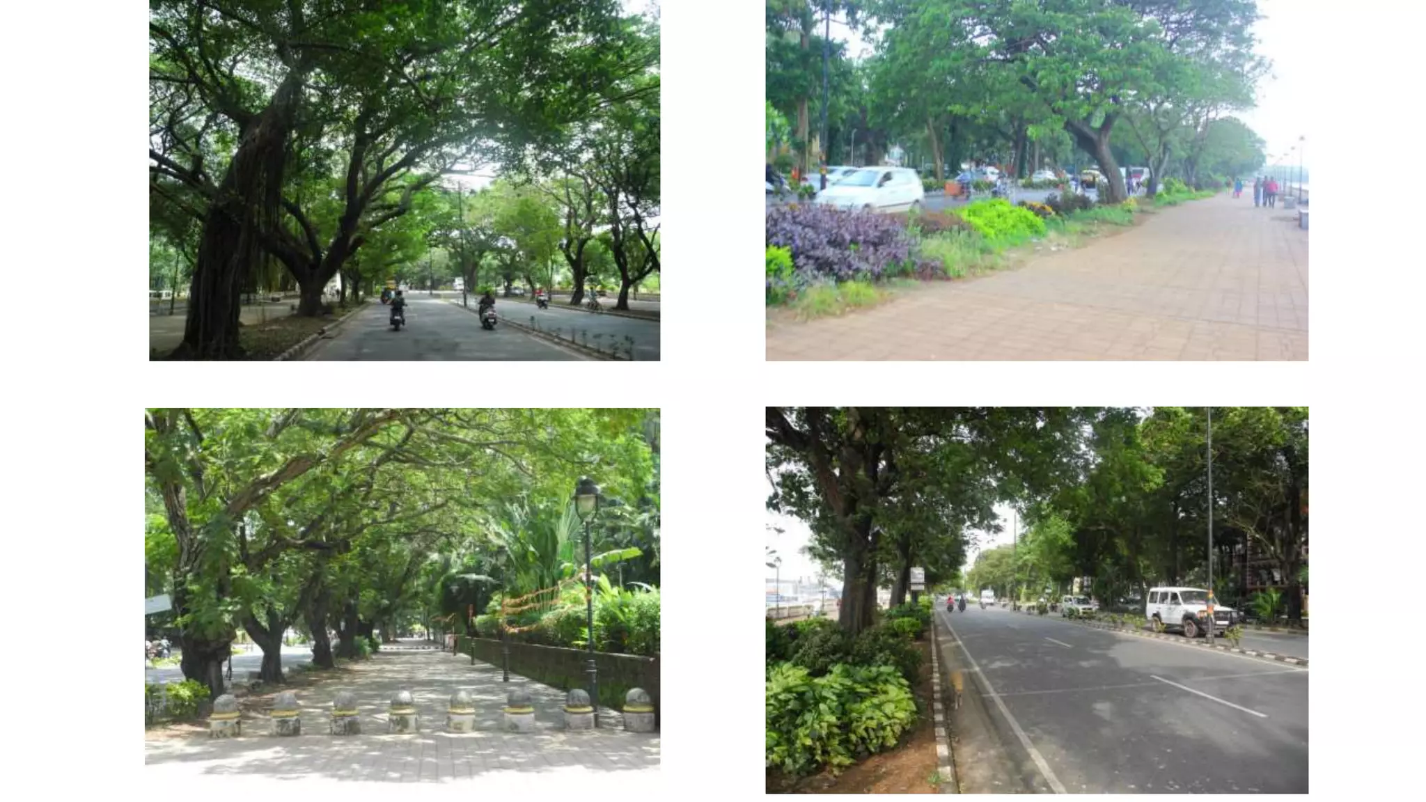 Urban design Case study GOA PANJIM | PPTX