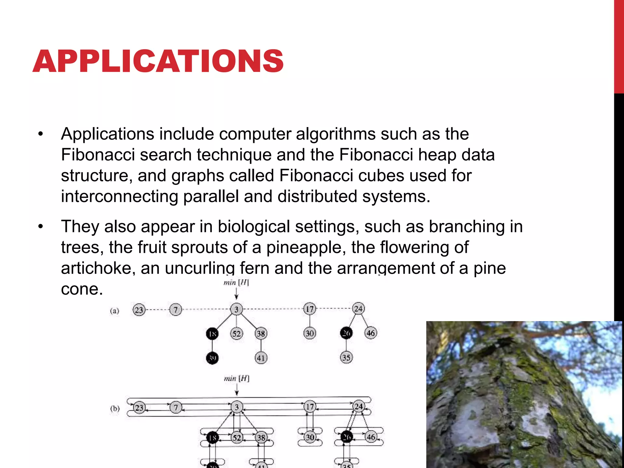 Fibonacci Numbers And Lucas Numbers Ppt