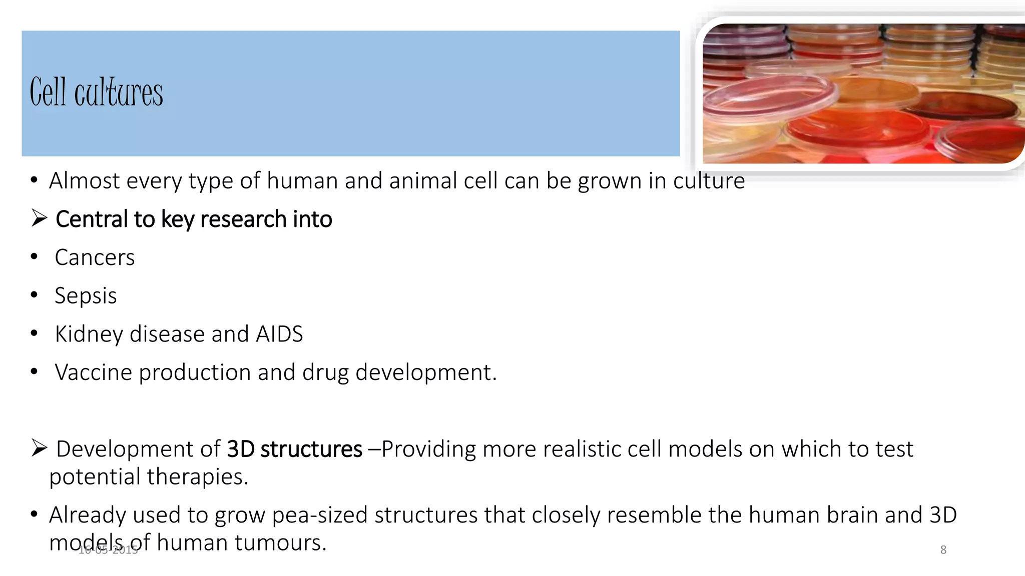 ALTERNATIVES TO ANIMAL MODELS | PPTX