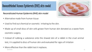 ALTERNATIVES TO ANIMAL MODELS | PPTX