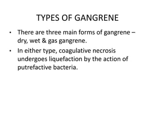 Gangrene & amputation | PPTX