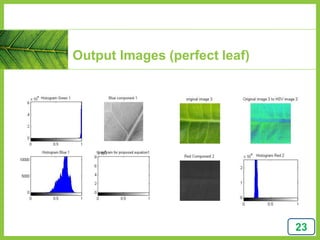 matlab image processing | PDF | Gardening | Home & Garden