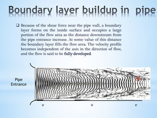 Dynamics of Fluid Flow | PPTX