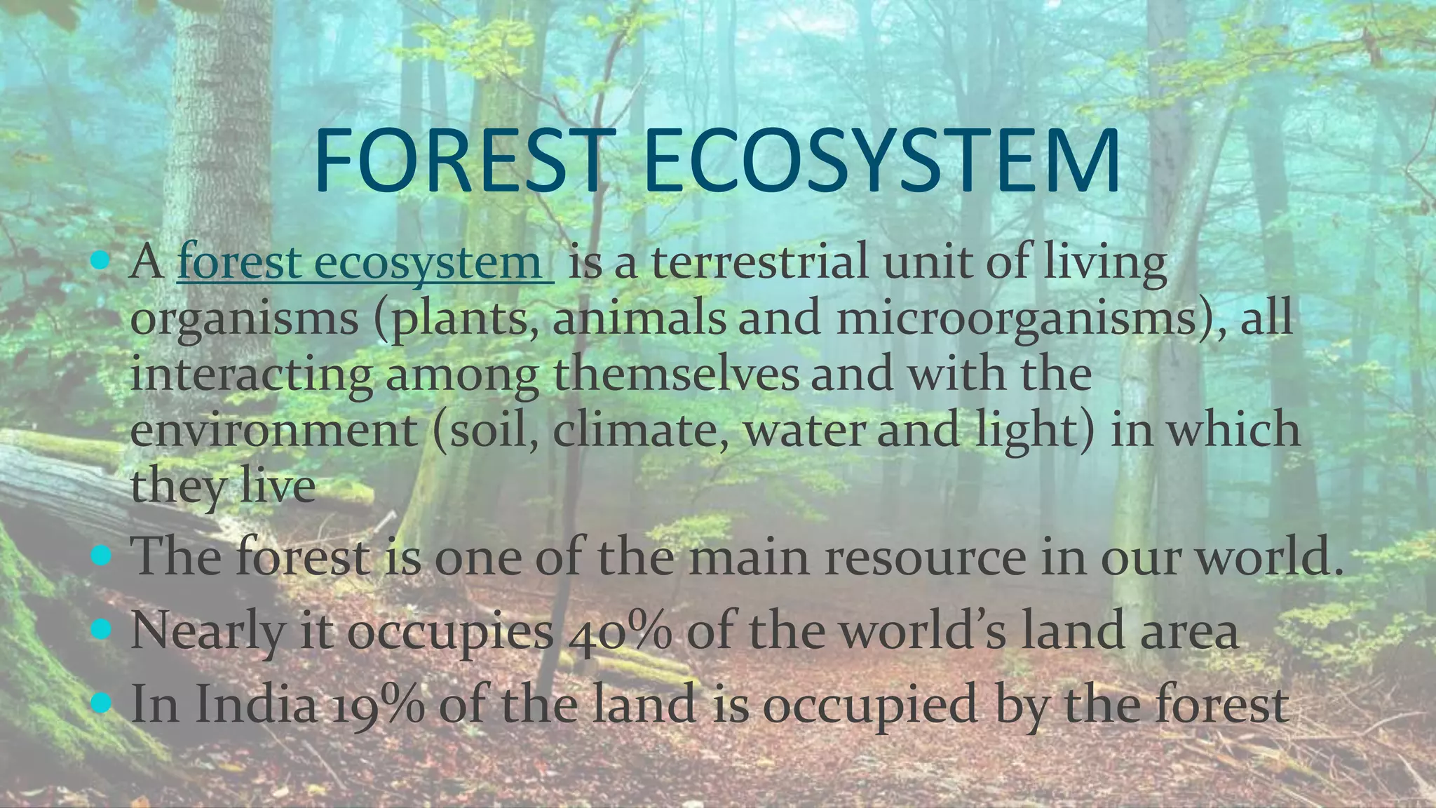 forest ecosystem | PPTX