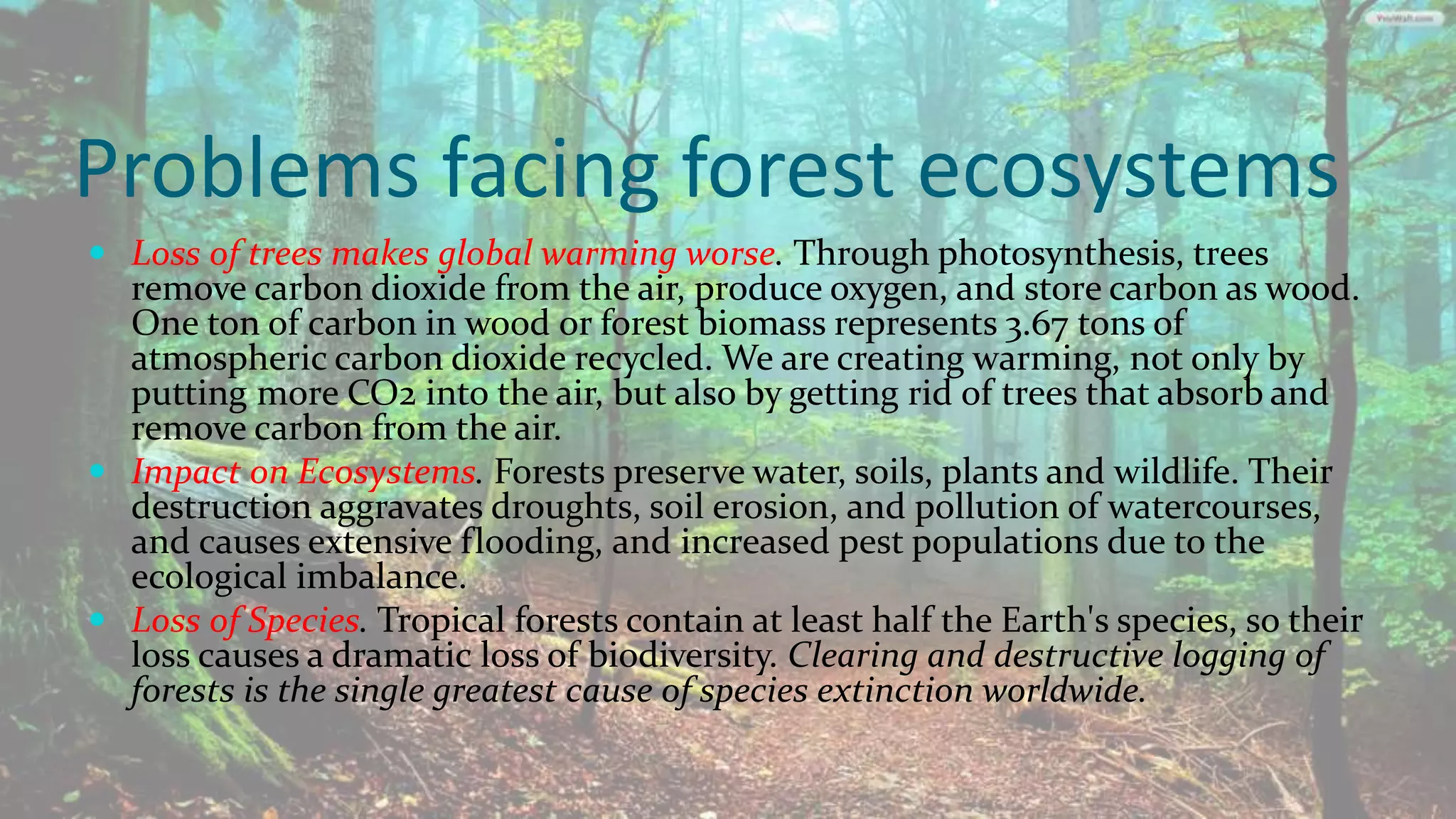 forest ecosystem | PPTX