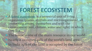 forest ecosystem | PPTX