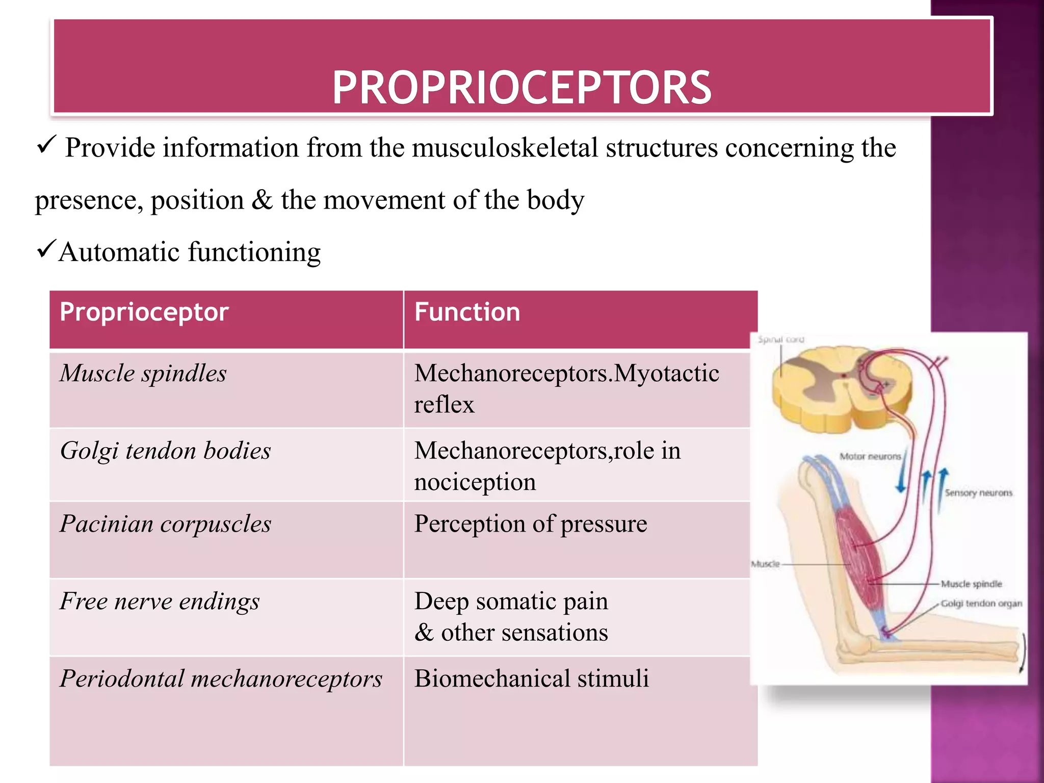Pain pathways | PPTX