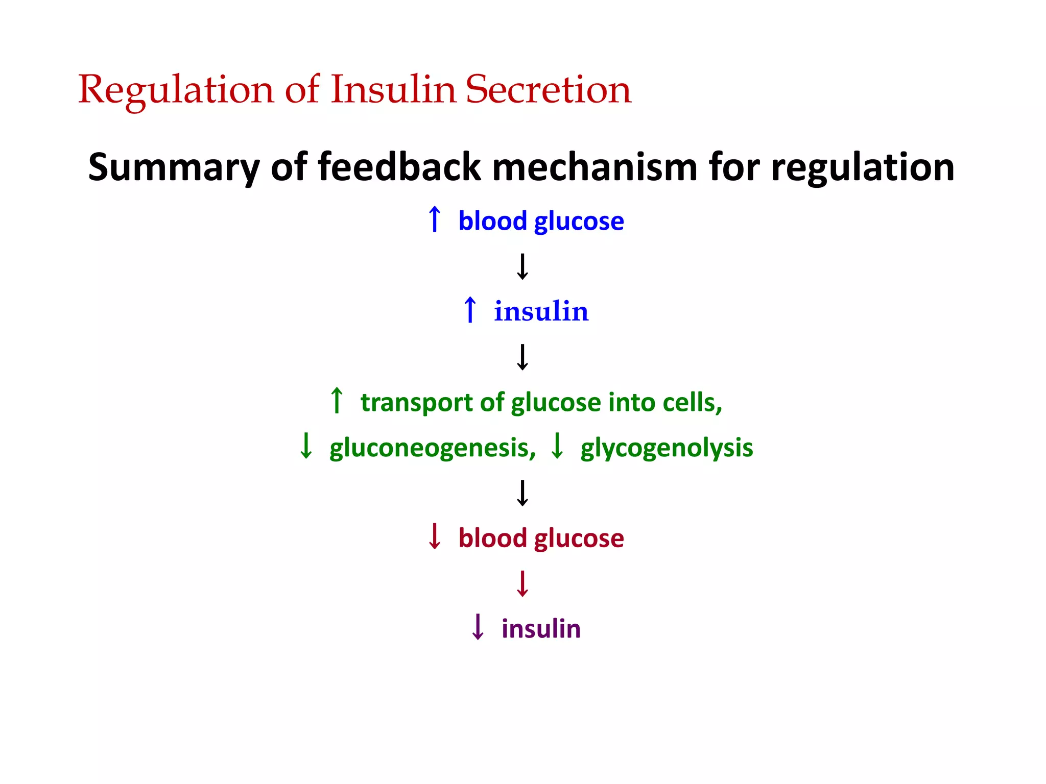 Regulation of blood glucose | PPTX