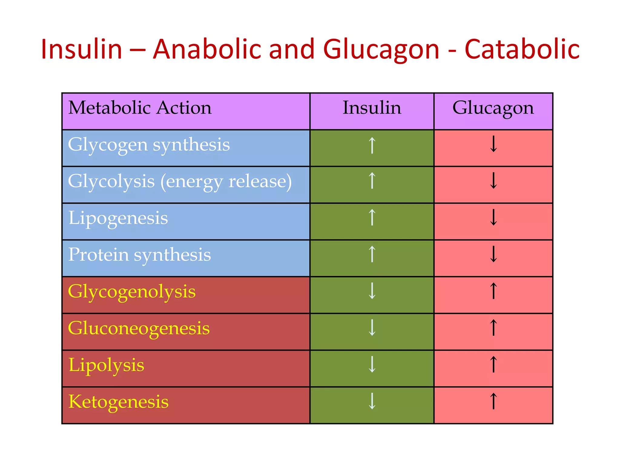 Regulation of blood glucose | PPTX