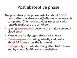Regulation of blood glucose | PPTX