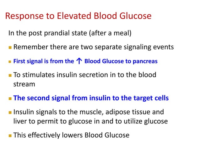 Regulation of blood glucose | PPTX