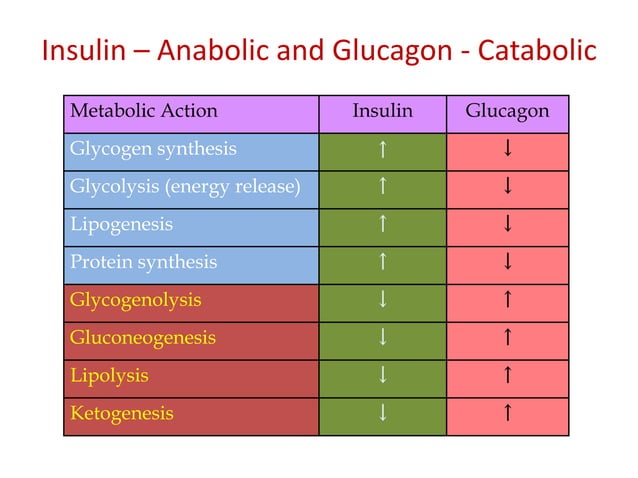 Regulation of blood glucose | PPTX