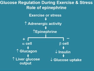 Regulation of blood glucose | PPTX