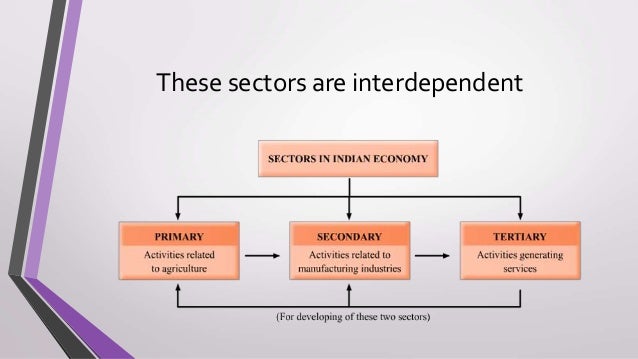G.D.P. Trends in India