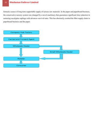 HUL DISTRIBUTION AND PROMOTION MIX | PDF
