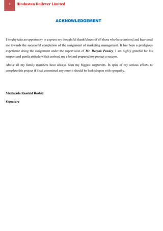 HUL DISTRIBUTION AND PROMOTION MIX | PDF