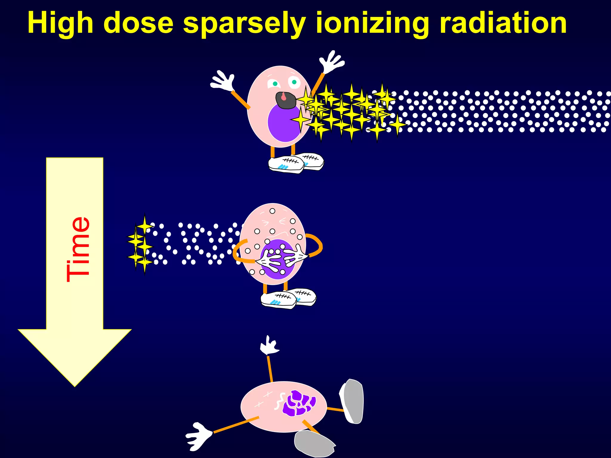 LET & RBE and Radioprotectors | PPTX