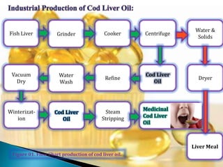 Cod Liver Oil | PPTX