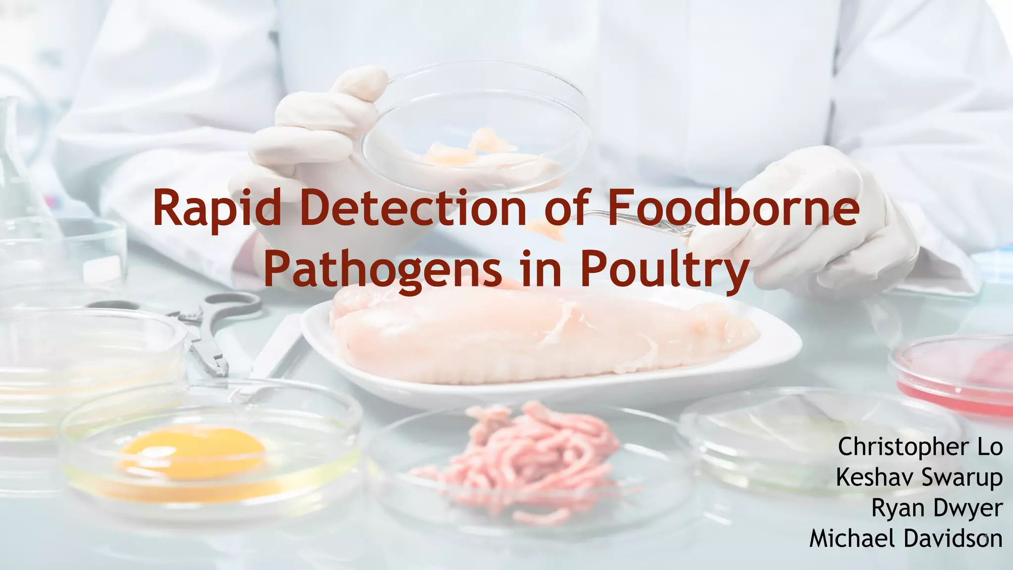 Capstone Senior Design - Rapid Detection of Foodborne Pathogens in Poultry | PPT