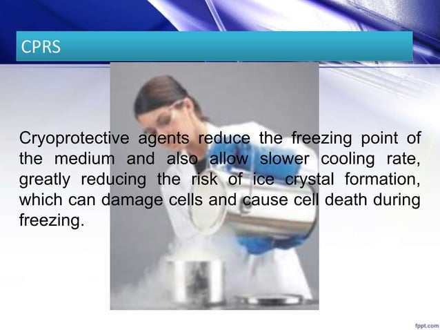 Cryopreservation | PPTX | Infertility | Reproductive Health