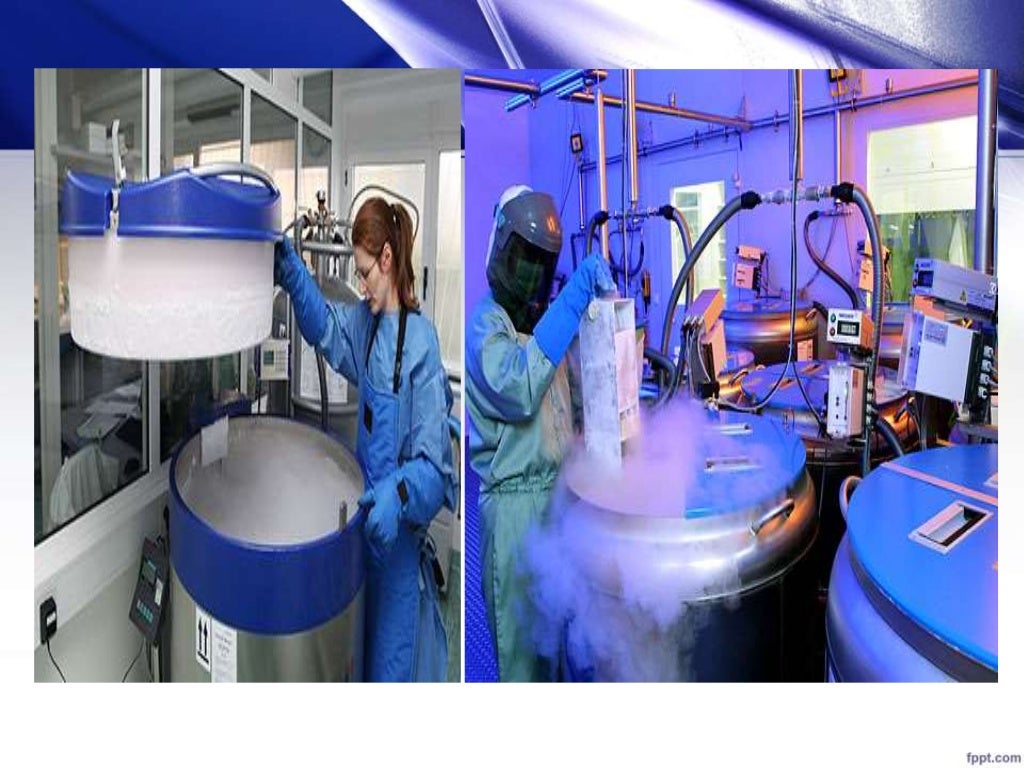 Cryopreservation